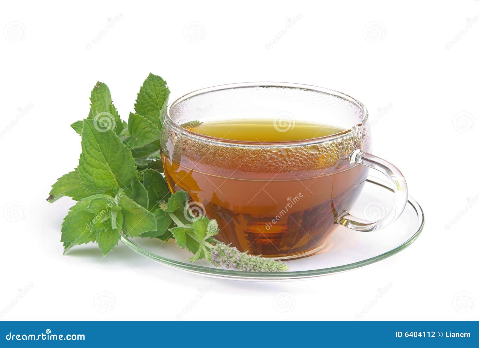 Tea Mentha citrata 01 stock photo. Image of medical, common - 6404112