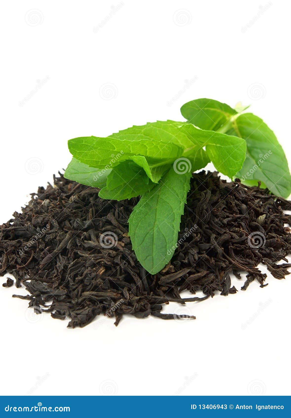 Tea with mint stock image. Image of herb, beverage, leaf - 13406943