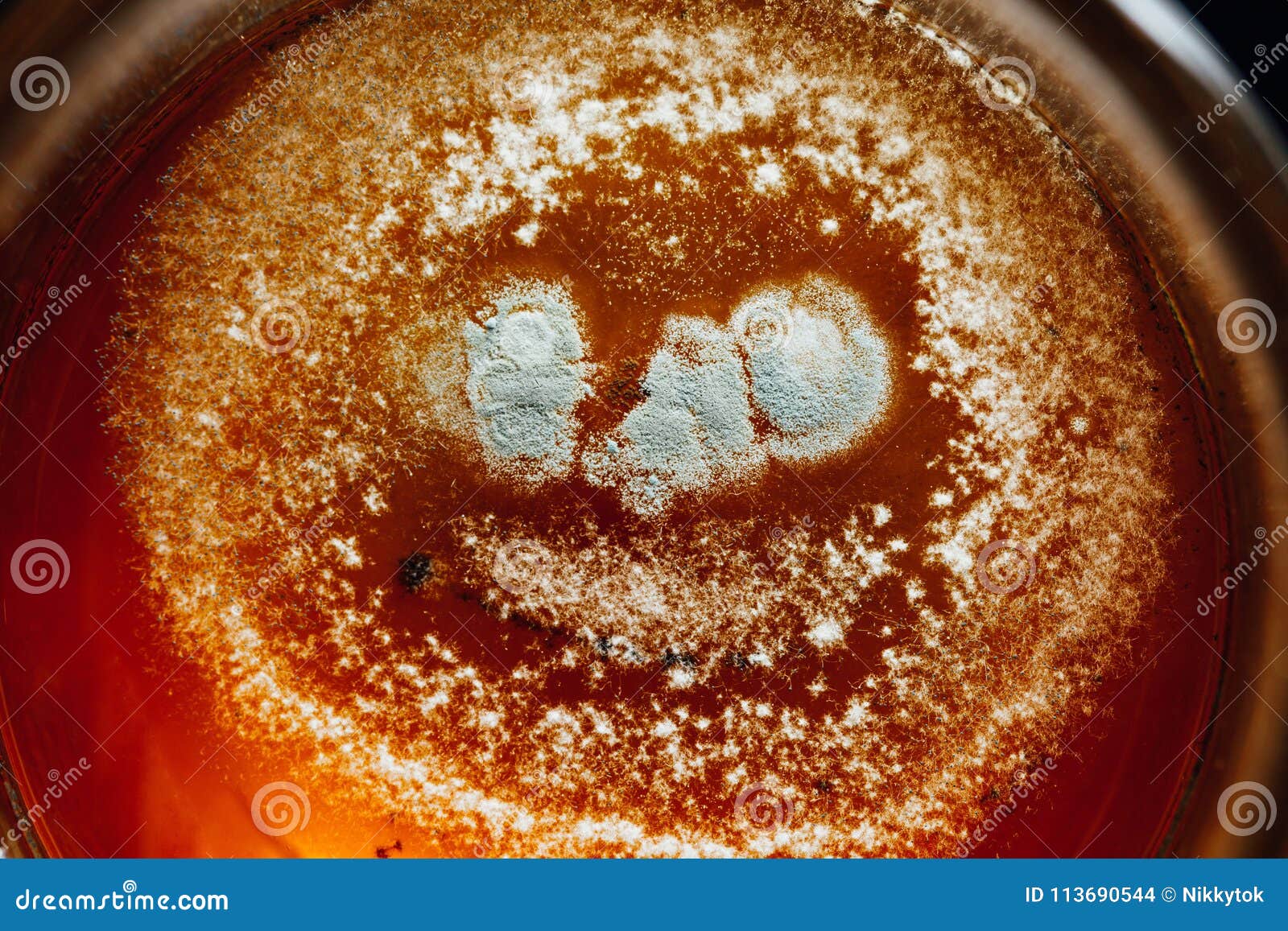 Tea mold in a cup stock photo. Image of closeup, disease - 113690544