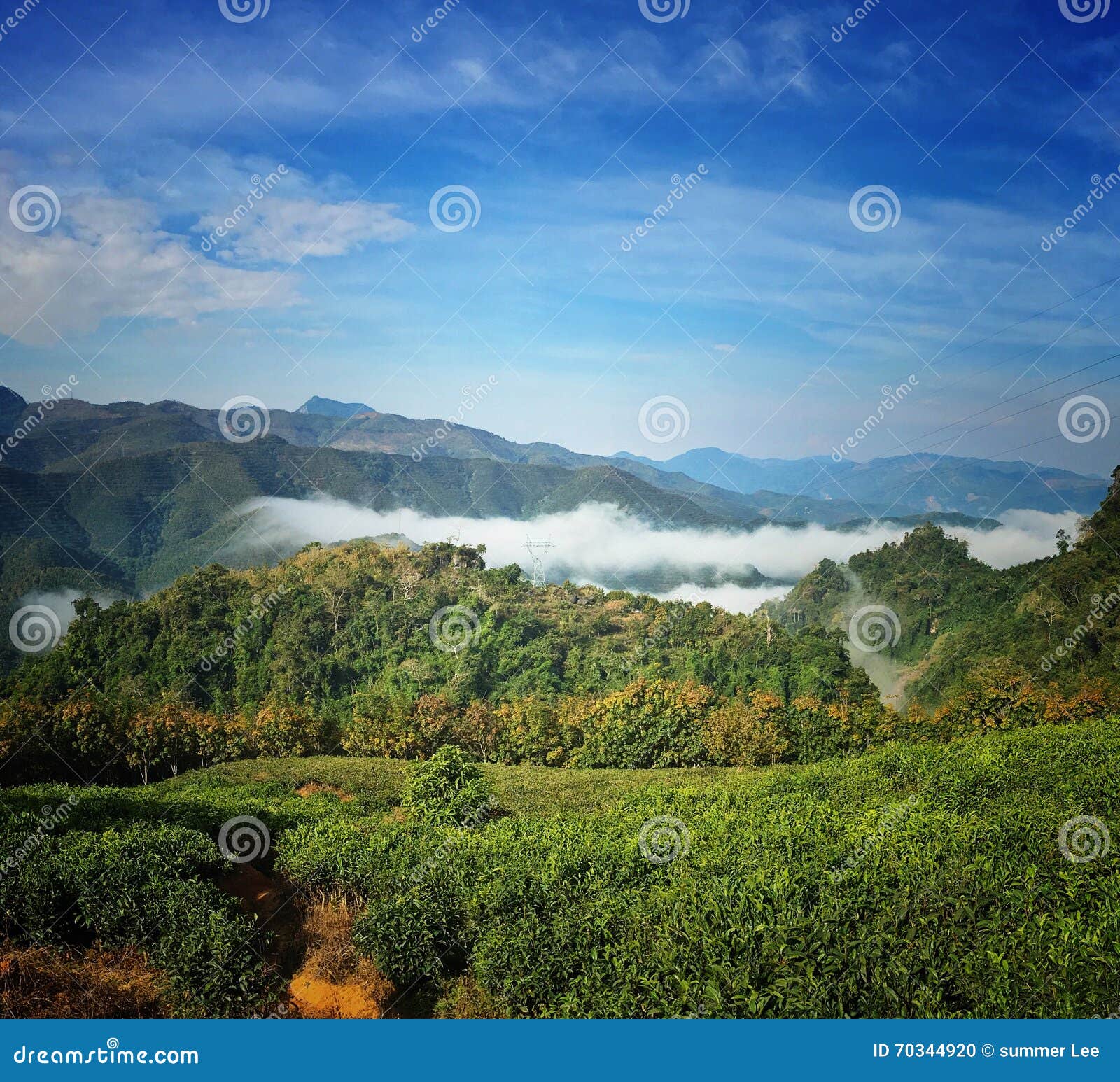 Tea Mountain in XISHUANGBANNA Stock Photo - Image of reservoir, china ...