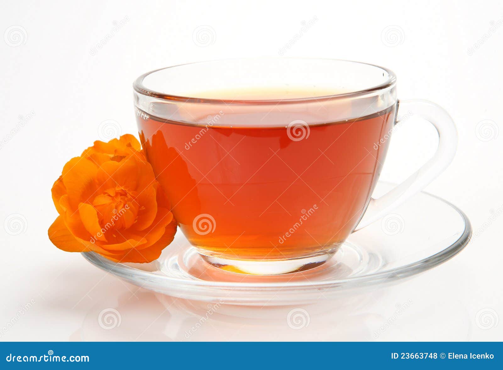 Tea in a mug stock photo. Image of gourmet, liquid, vegetative - 23663748