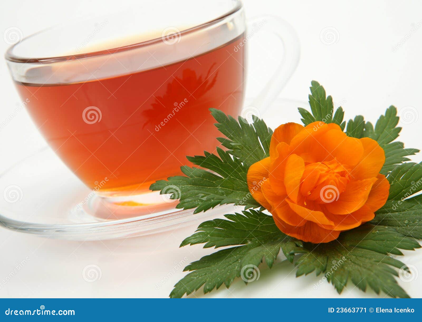 Tea in a mug stock image. Image of gourmet, natural, drink - 23663771
