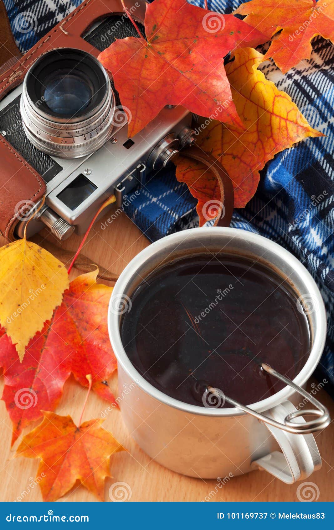 Tea and camera stock image. Image of leaf, retro, classic - 101169737