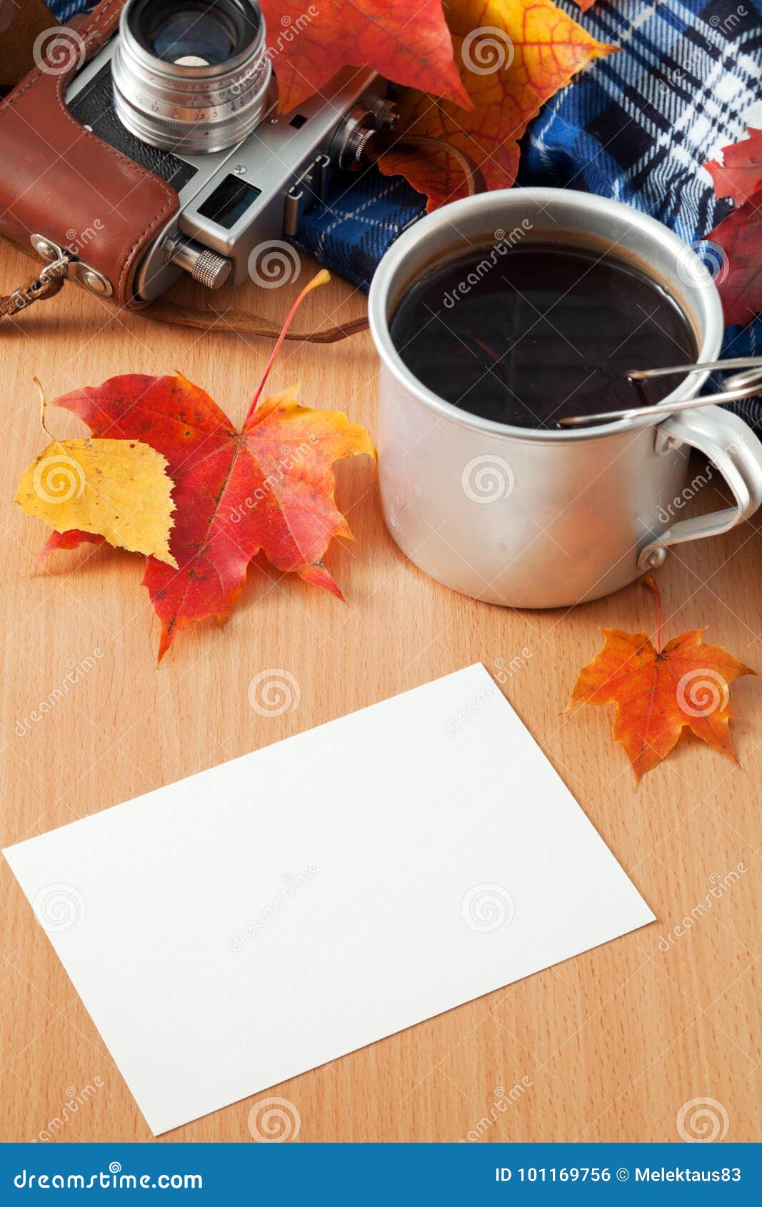 Tea and camera stock photo. Image of autumn, beverage - 101169756