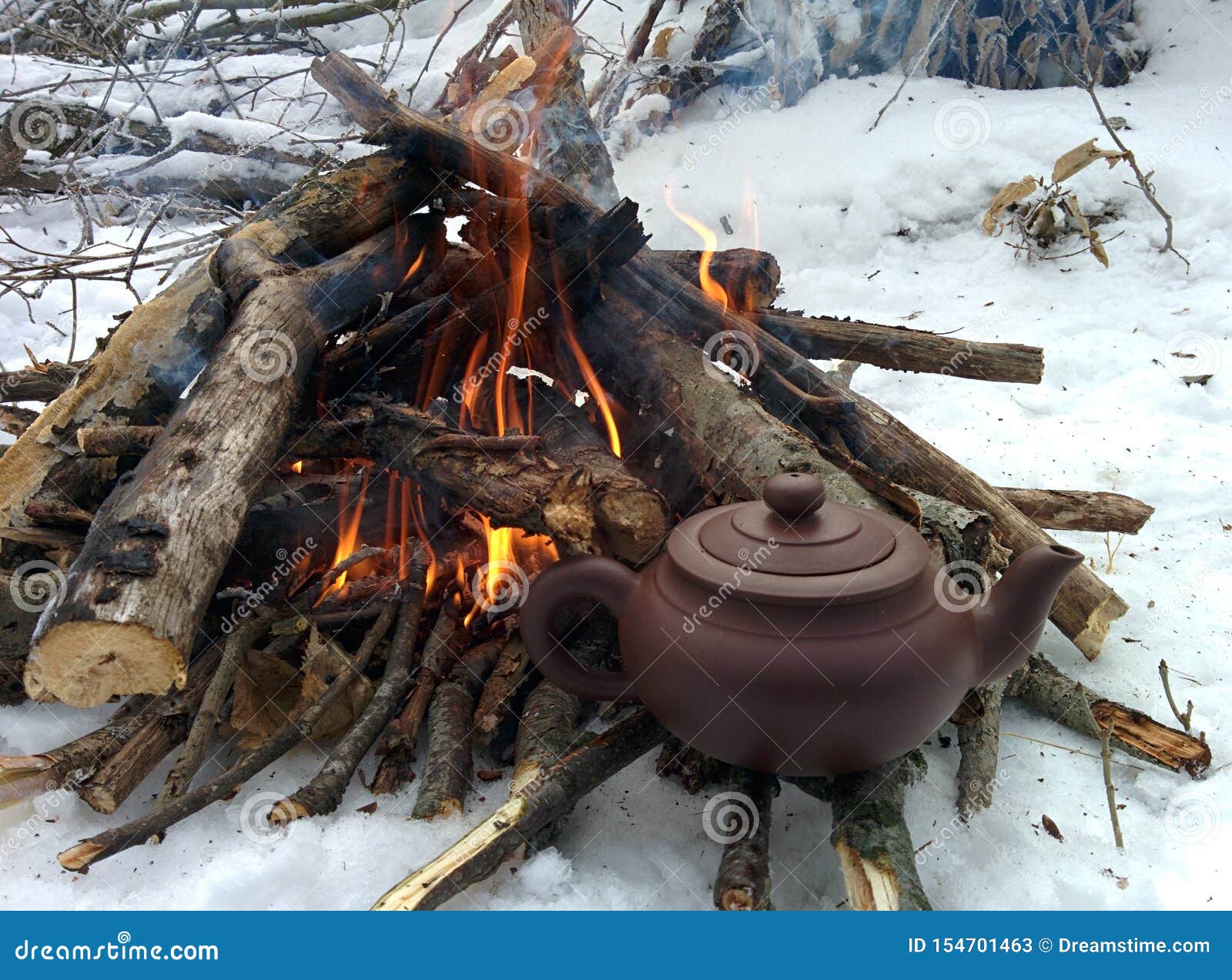 Tea party in the forest stock image. Image of snow, party - 154701463
