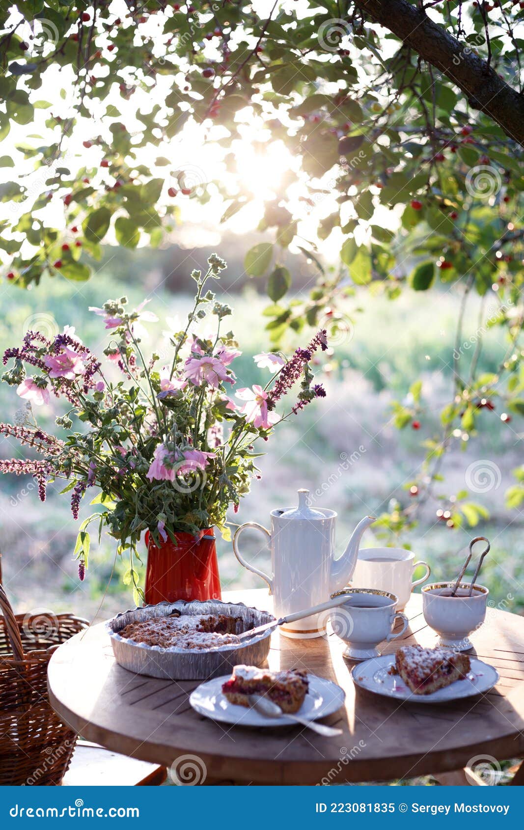 Tea party in the garden stock image. Image of nature - 223081835