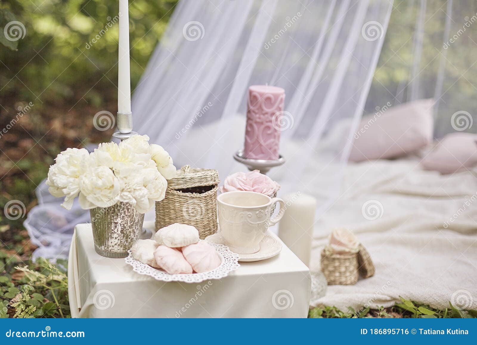 Tea Party on a Picnic in the Forest with a Tent Stock Photo - Image of ...