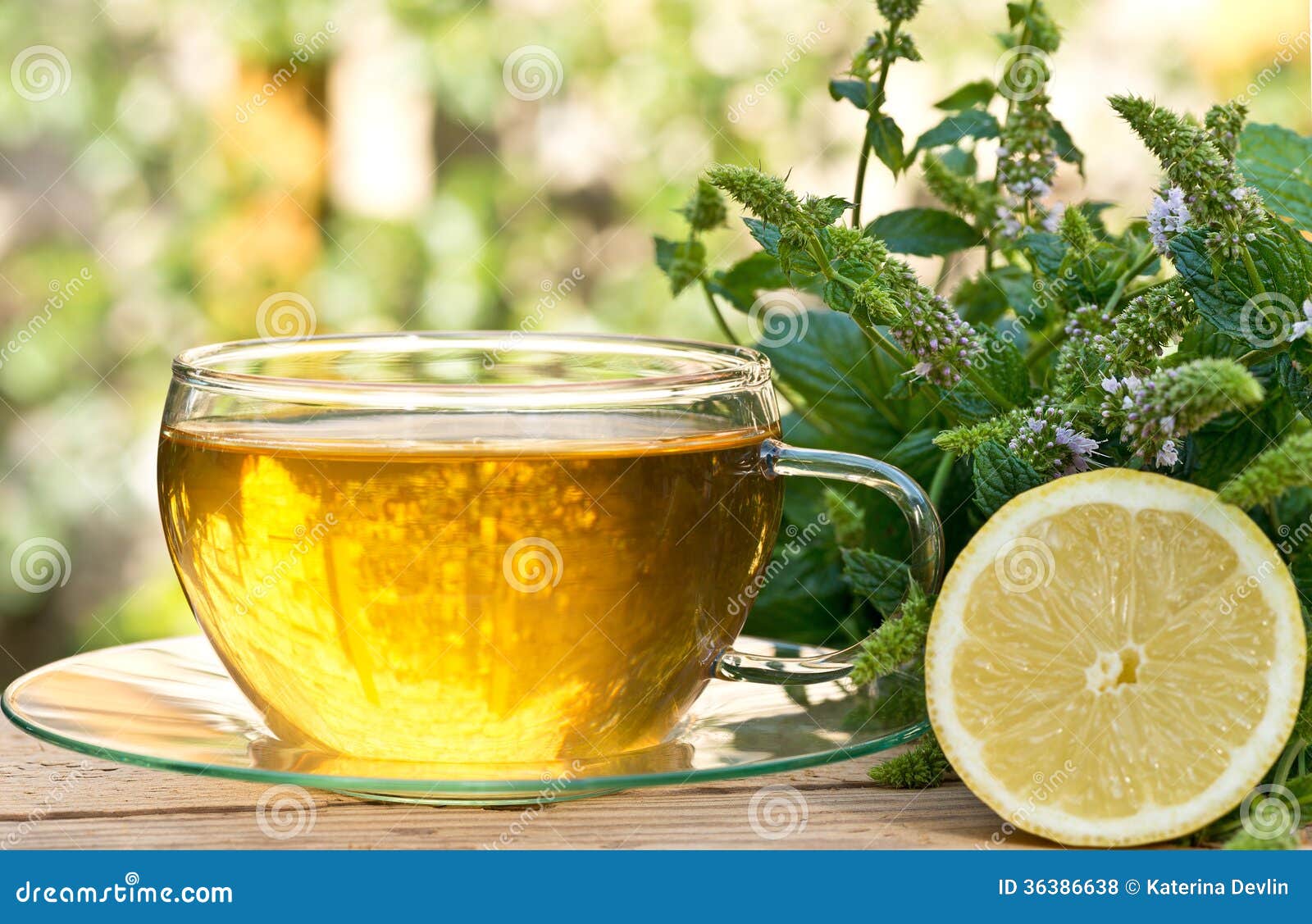 Tea with peppermint stock photo. Image of herb, nature - 36386638