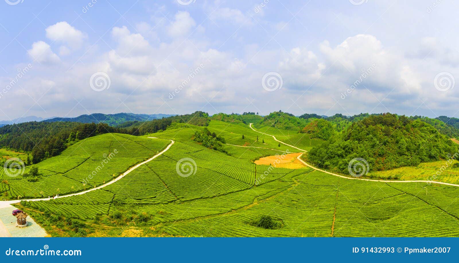 Tea plantation line stock image. Image of chinese, landscapes - 91432993