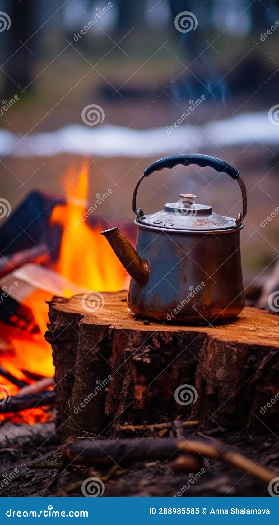 Tea Pot on a Campfire in the Woods. Camping Stock Illustration ...