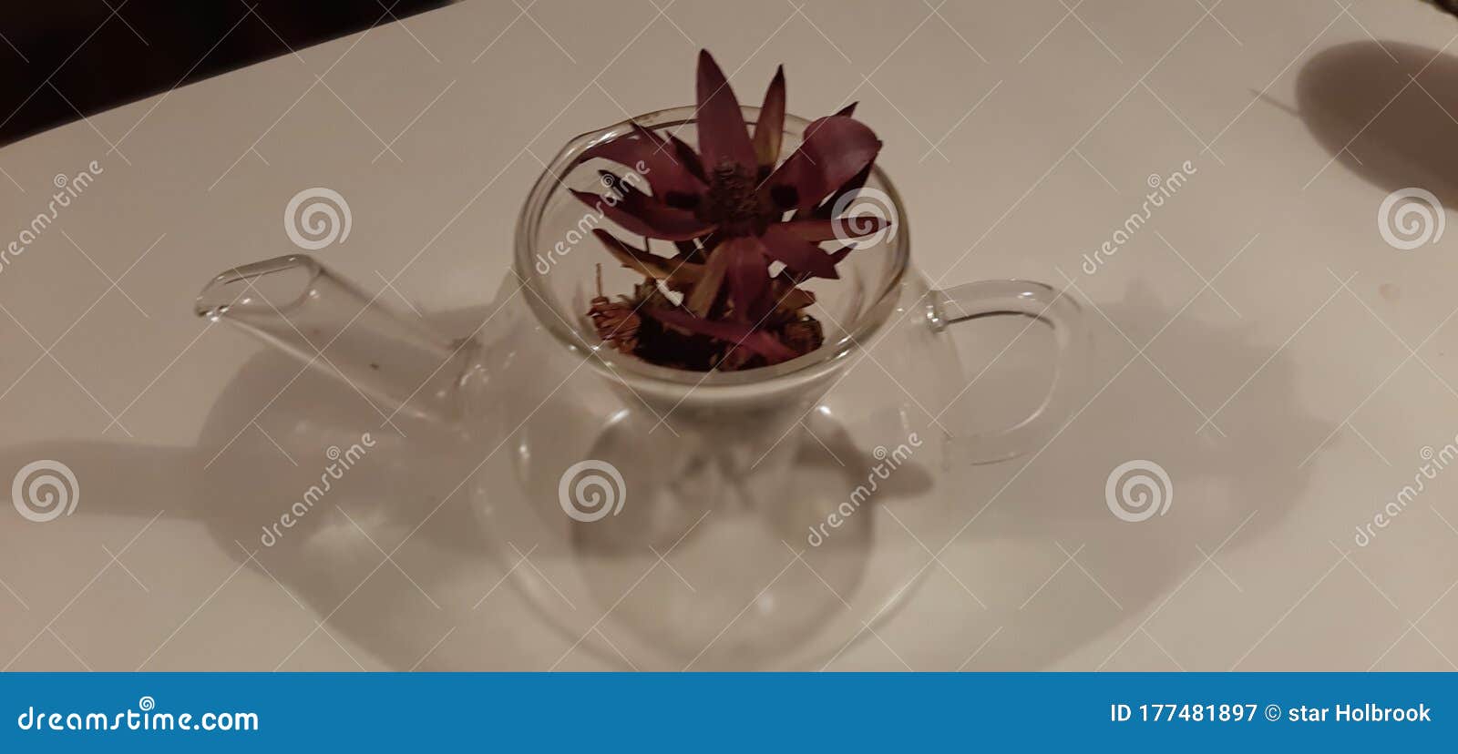 Tea pot with flower stock image. Image of homemade, decor - 177481897