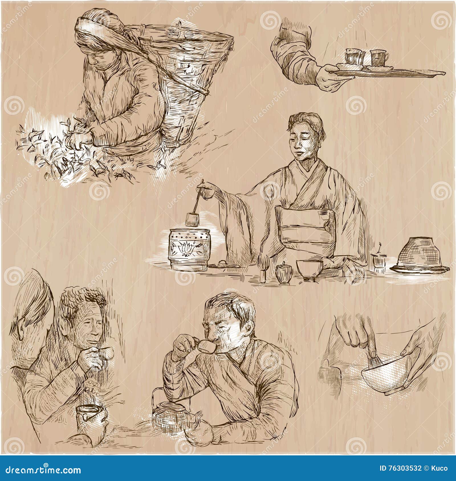 Tea Processing. Agriculture. an Hand Drawn Vector Illustration. Stock ...