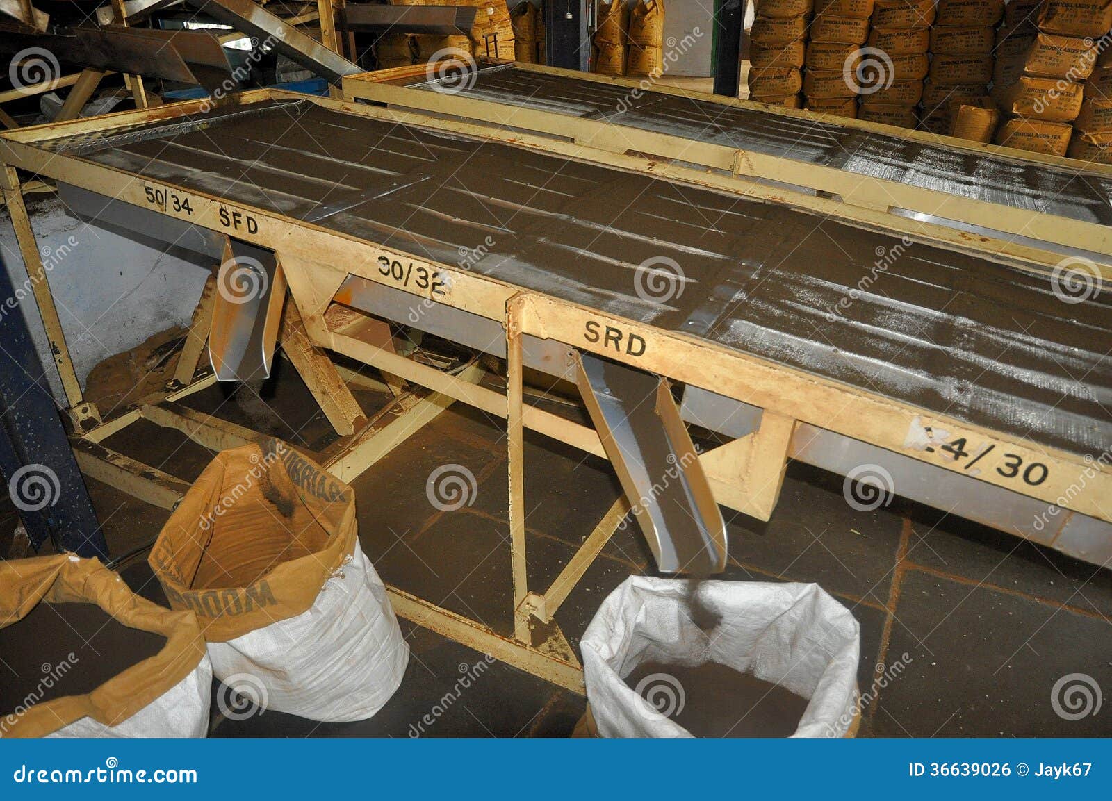 Tea processing editorial photo. Image of processing, plucked - 36639026