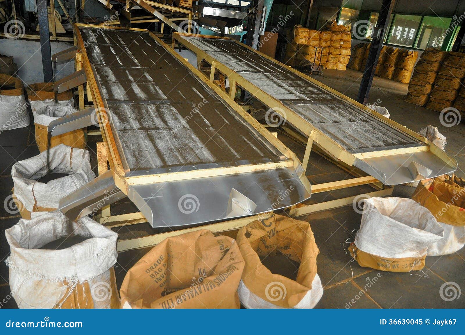 Tea processing editorial image. Image of factory, processing - 36639045