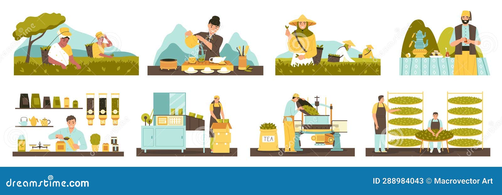 Tea Production Set stock vector. Illustration of growth - 288984043