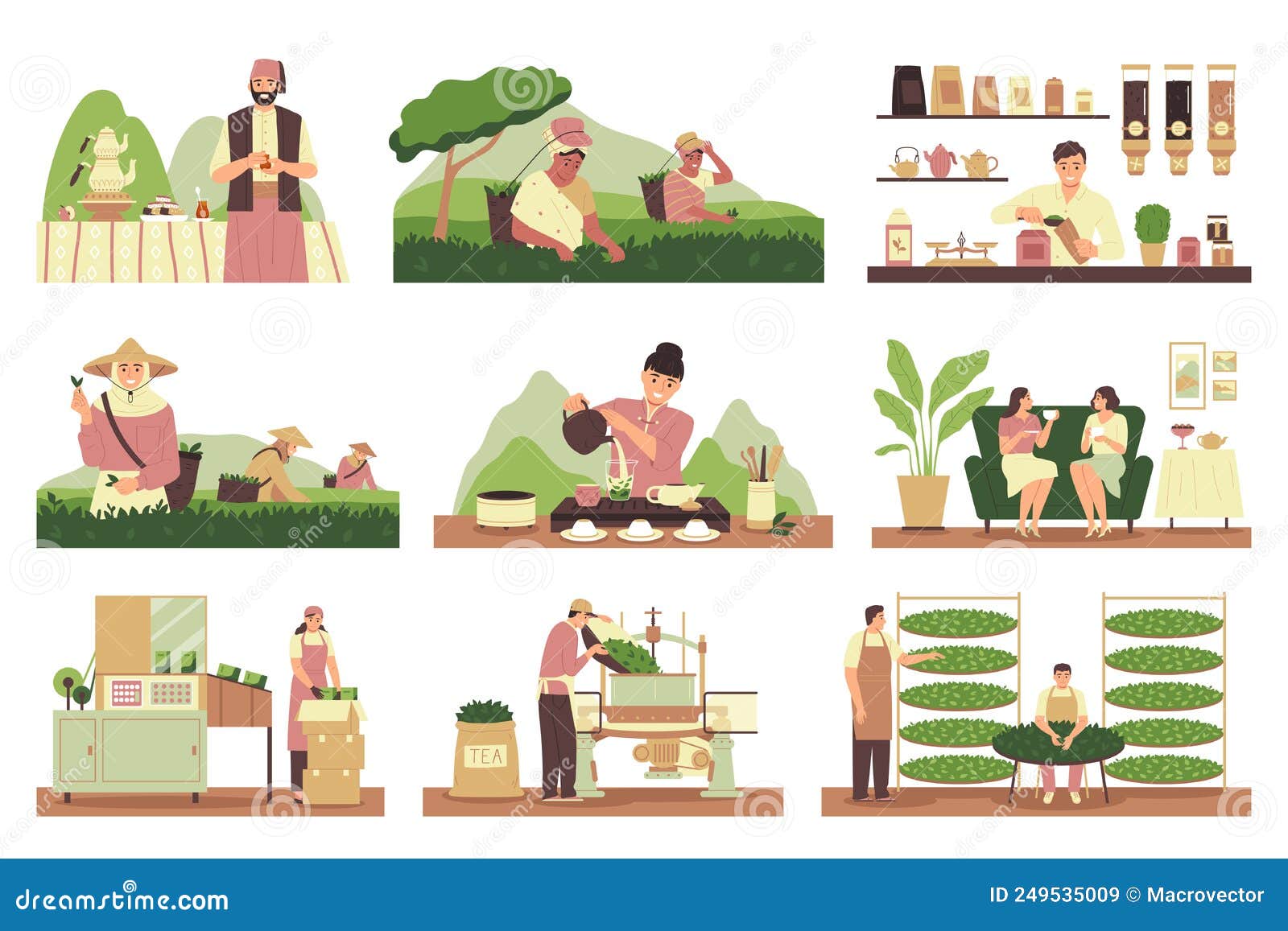 Tea Production Set stock vector. Illustration of agriculture - 249535009