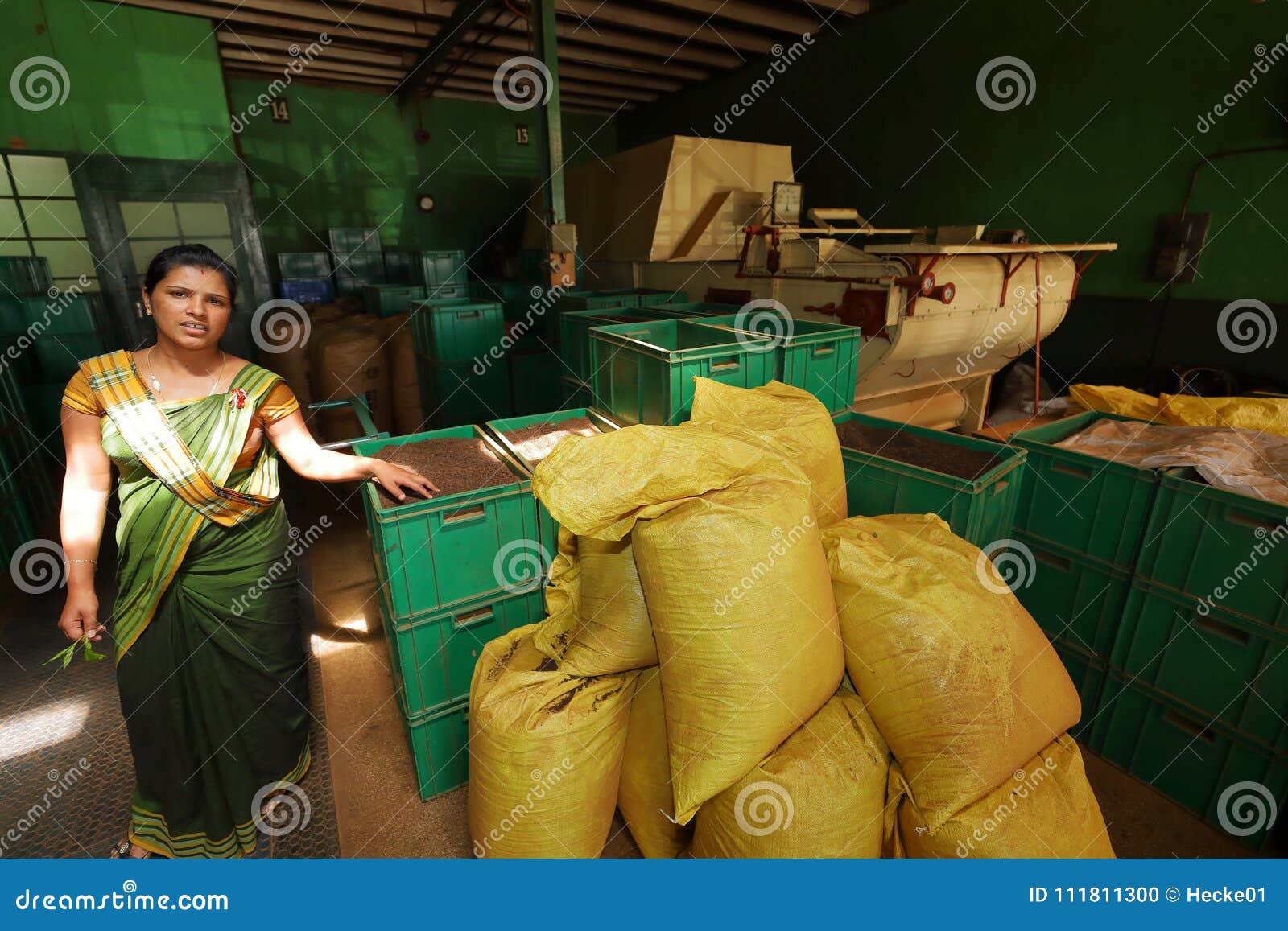 Tea Production in Sri Lanka Stock Photo - Image of worker, picker ...