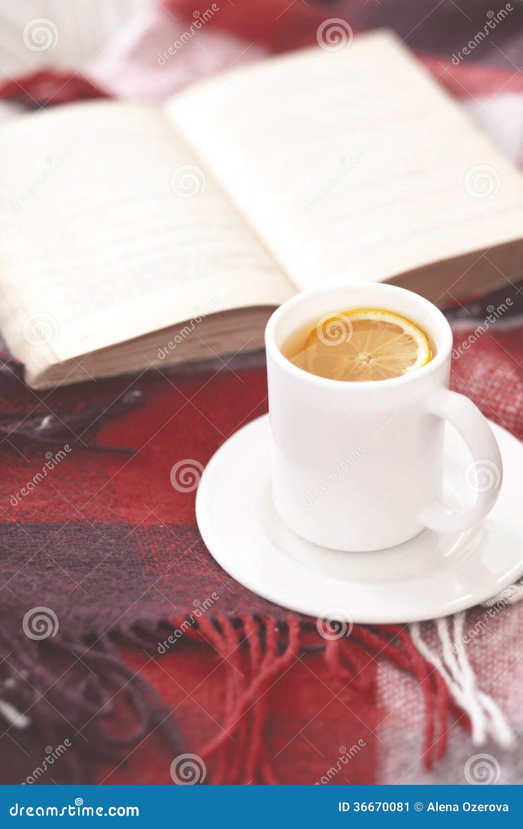 Tea and reading stock image. Image of book, details, breakfast - 36670081