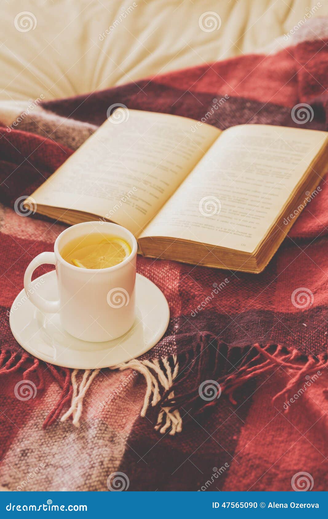 Tea and reading stock photo. Image of autumn, pages, domestic - 47565090