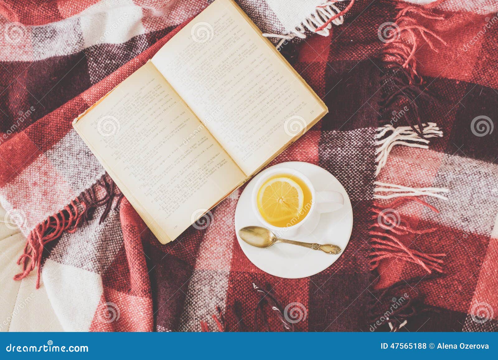 Tea and reading stock photo. Image of book, fall, house - 47565188