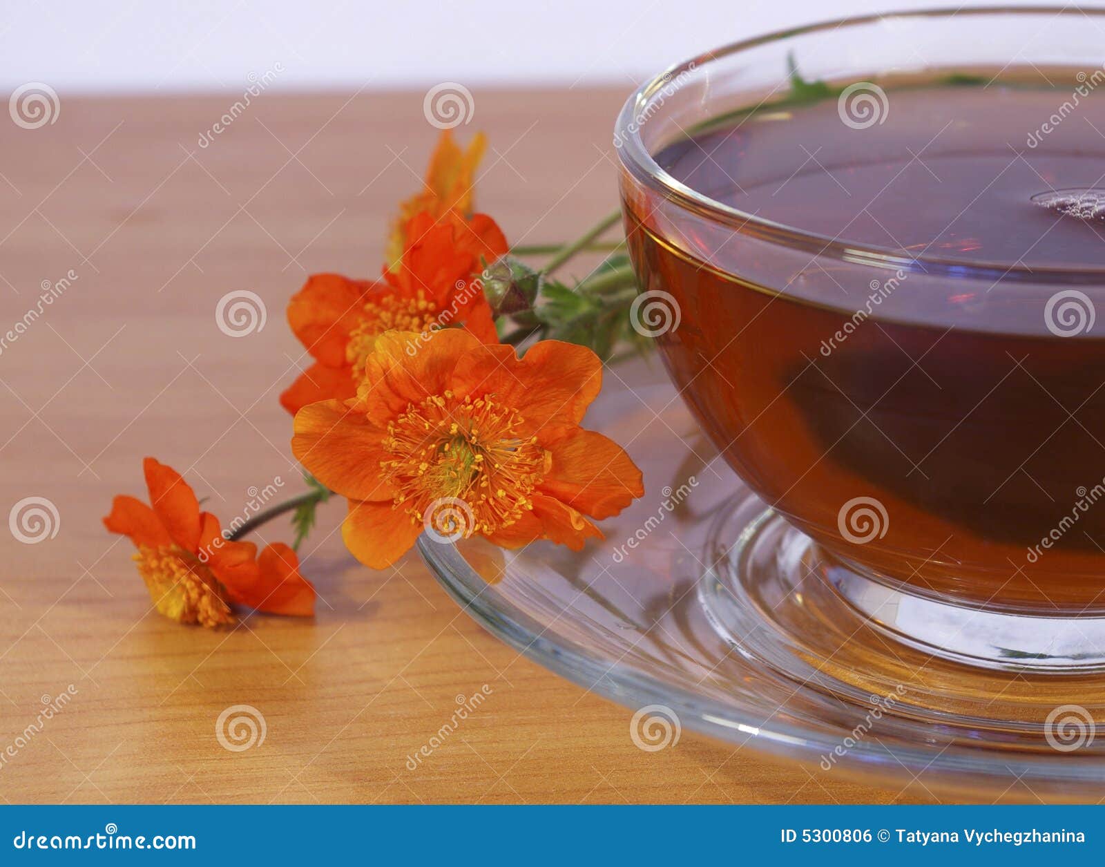Tea and red flowers stock photo. Image of white, glass - 5300806