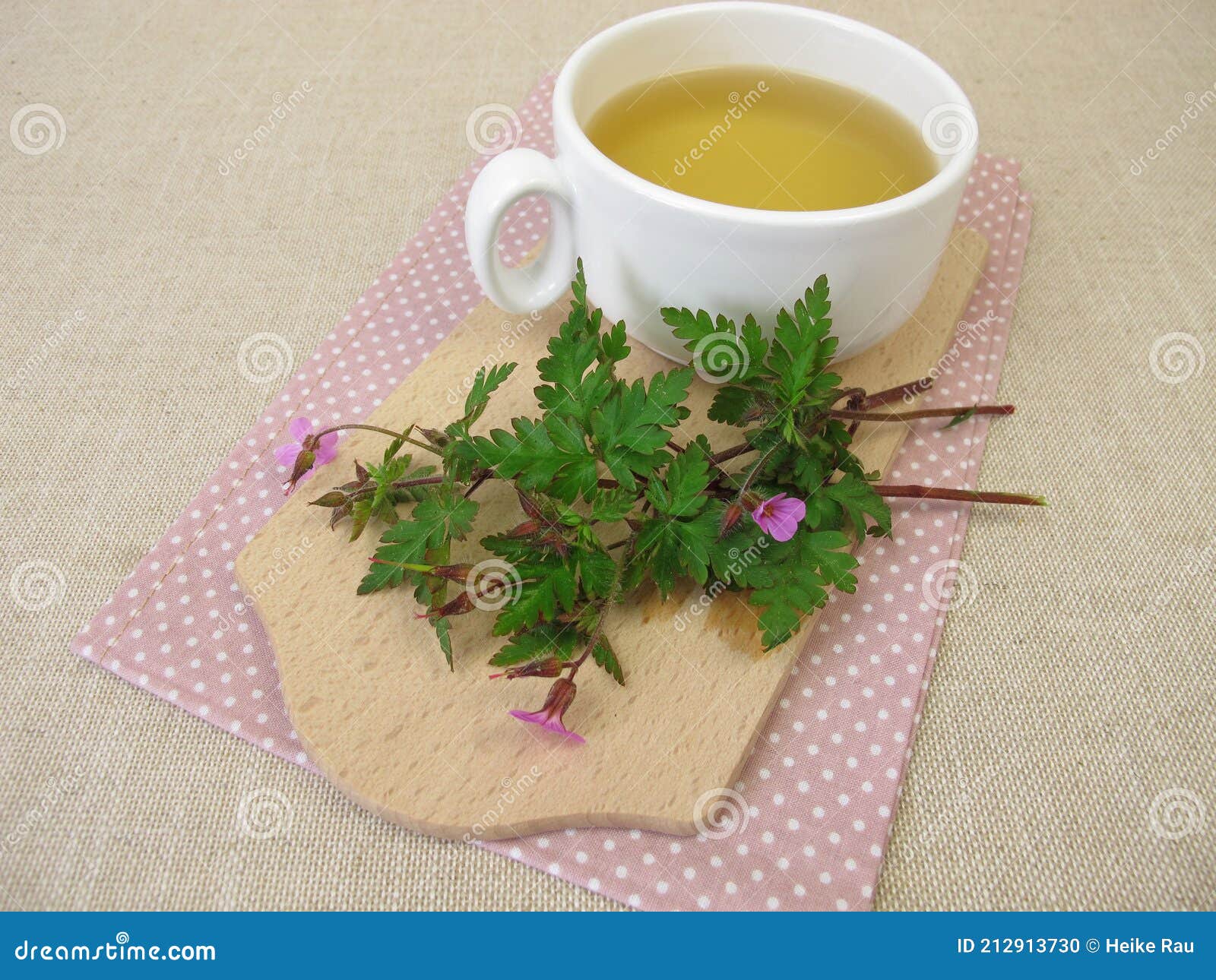 Tea with Roberts Geranium, Cranesbill, Geranium Robertianum Stock Photo ...