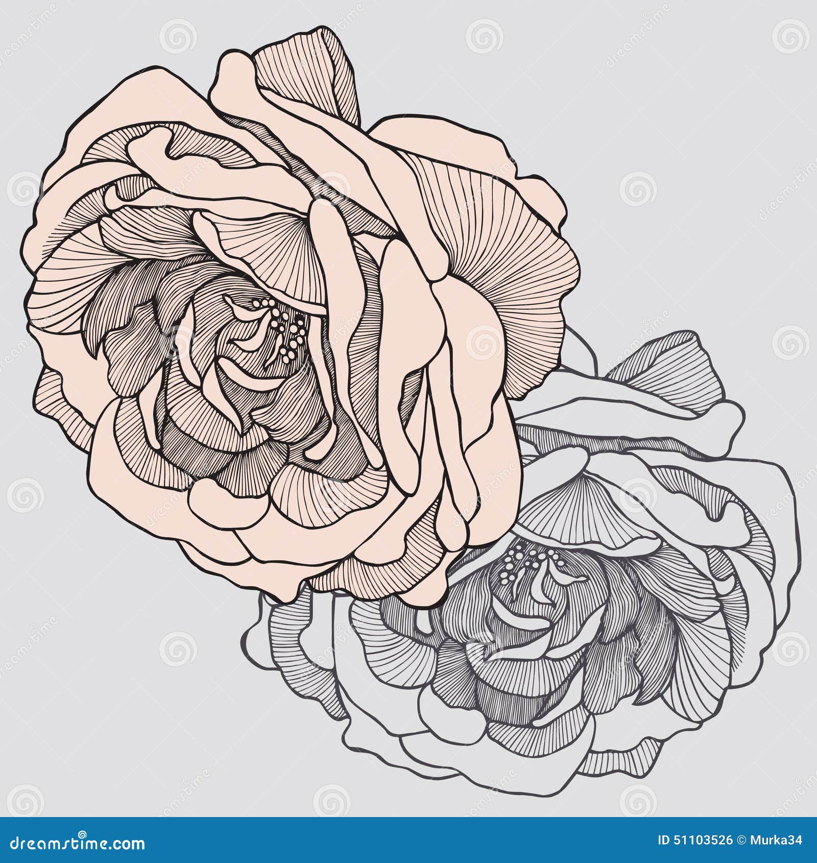 Tea Rose, Hand-drawing. Vector Illustration. Stock Vector ...