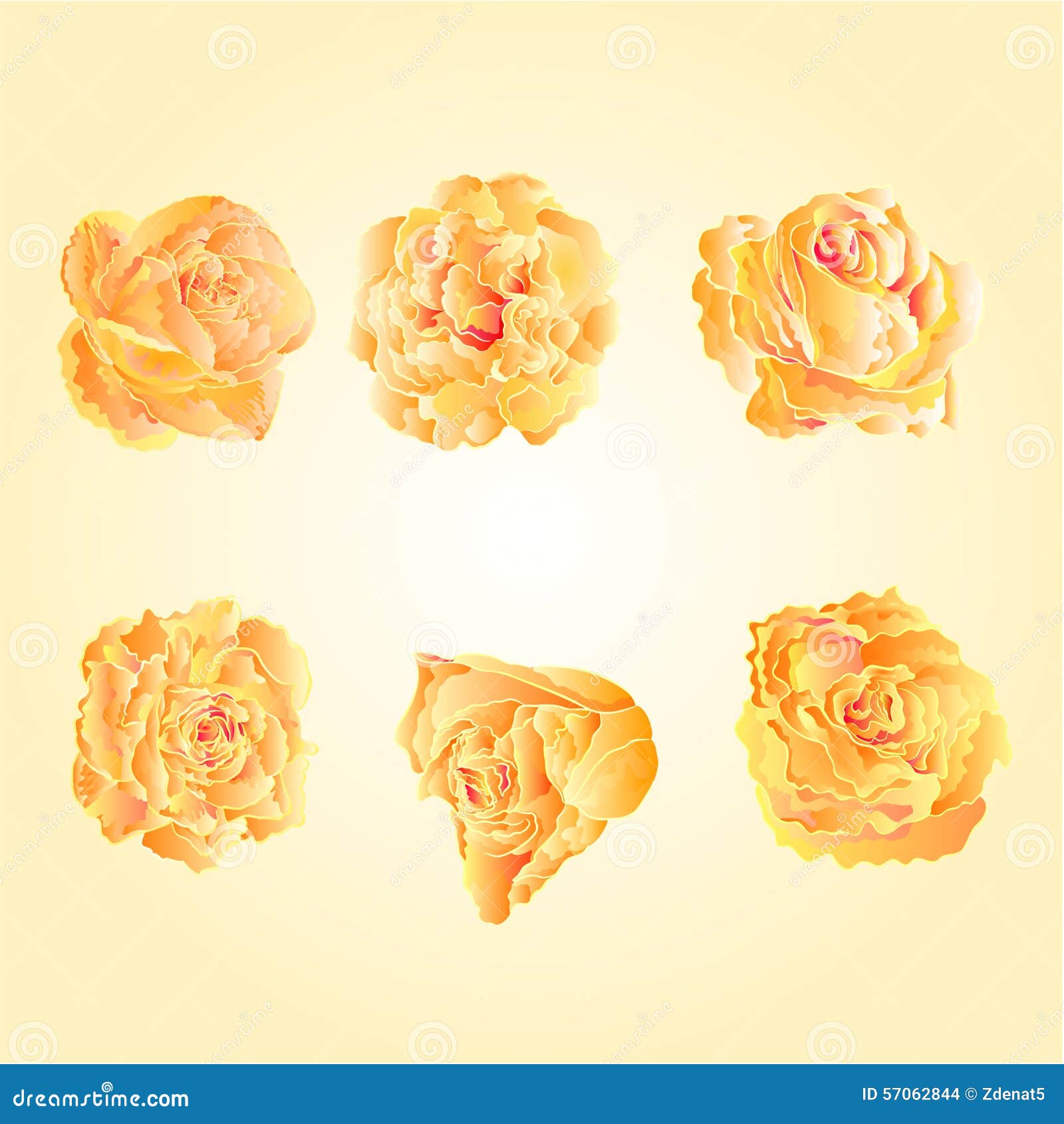 Tea roses vector stock vector. Illustration of private - 57062844