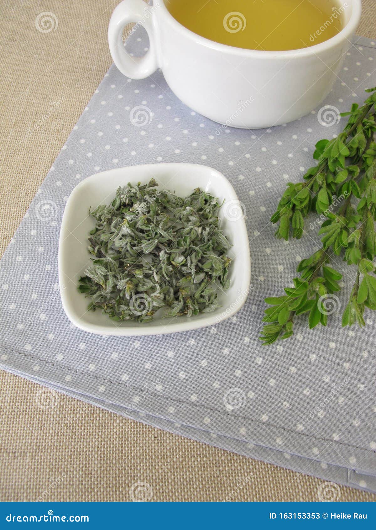 Tea with scotch broom stock image. Image of herbal, common - 163153353