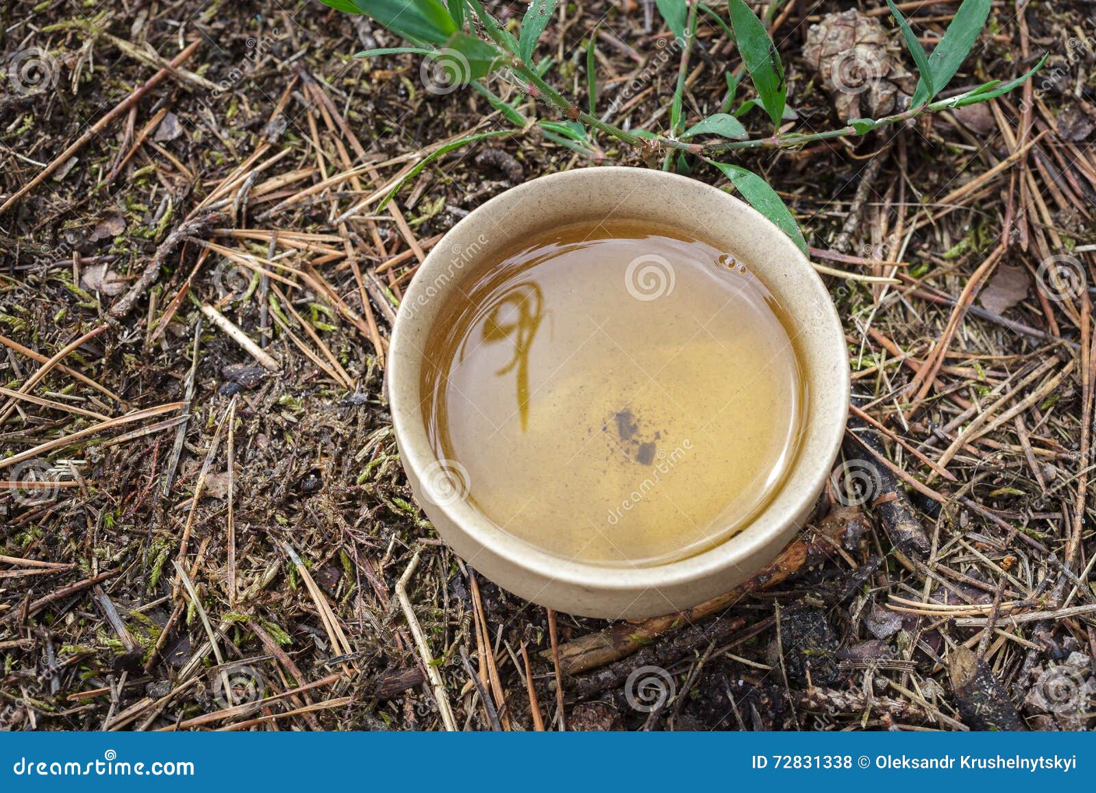 Tea set on the ground stock photo. Image of flower, backgrounds - 72831338