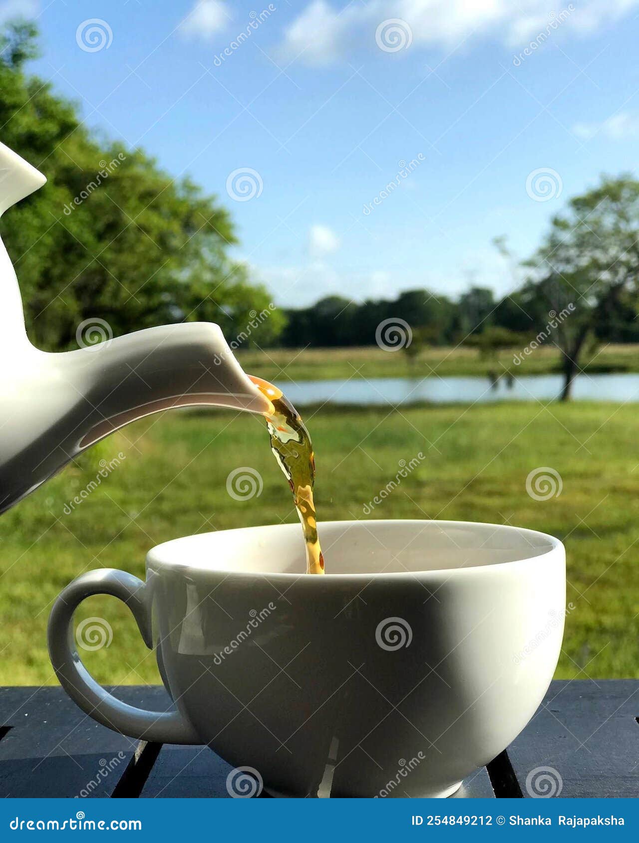 Tea Set Vessel with a Spout and a Handle in Which Tea is Brewed and ...