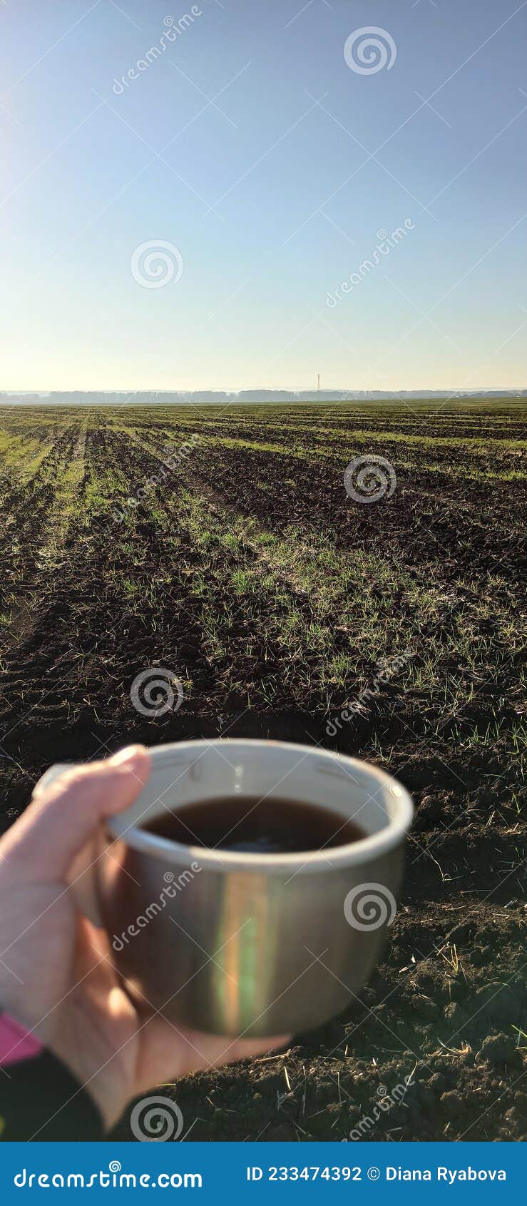 Tea, sky, blue stock photo. Image of glass, produce - 233474392