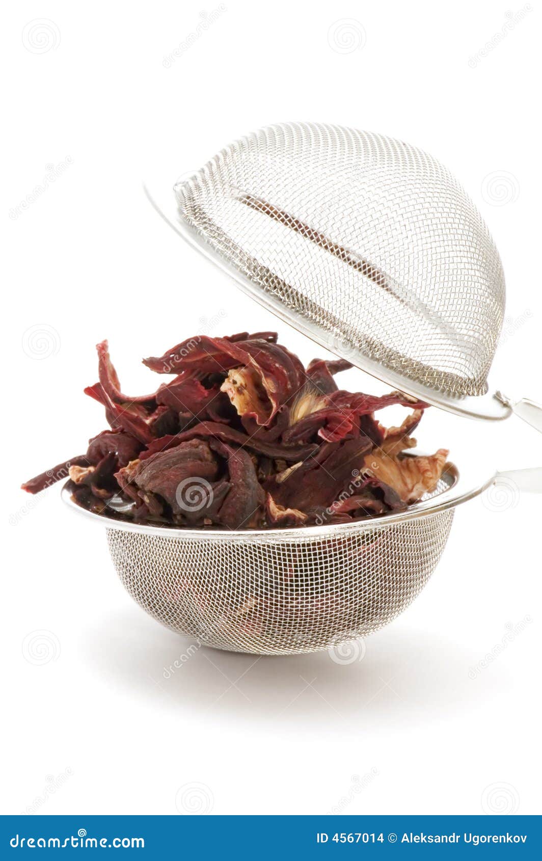 Tea-strainer with tea stock photo. Image of plant, health - 4567014