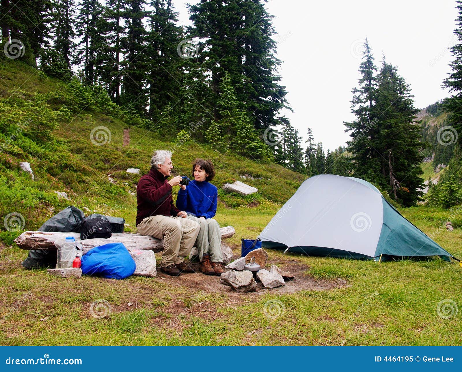 Tea Time at Camp stock image. Image of picturesque, green - 4464195
