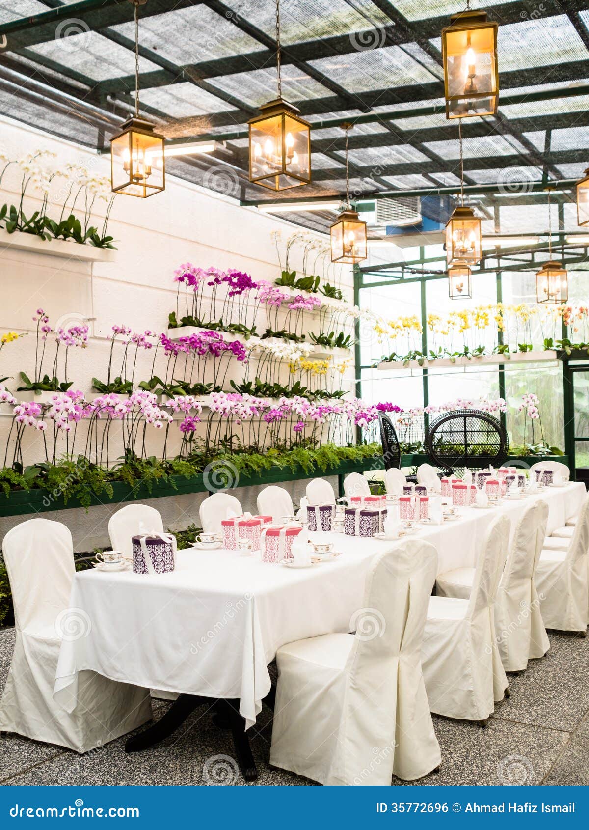 A Tea Time Table Settings in a Orchid Observatory Stock Photo - Image ...
