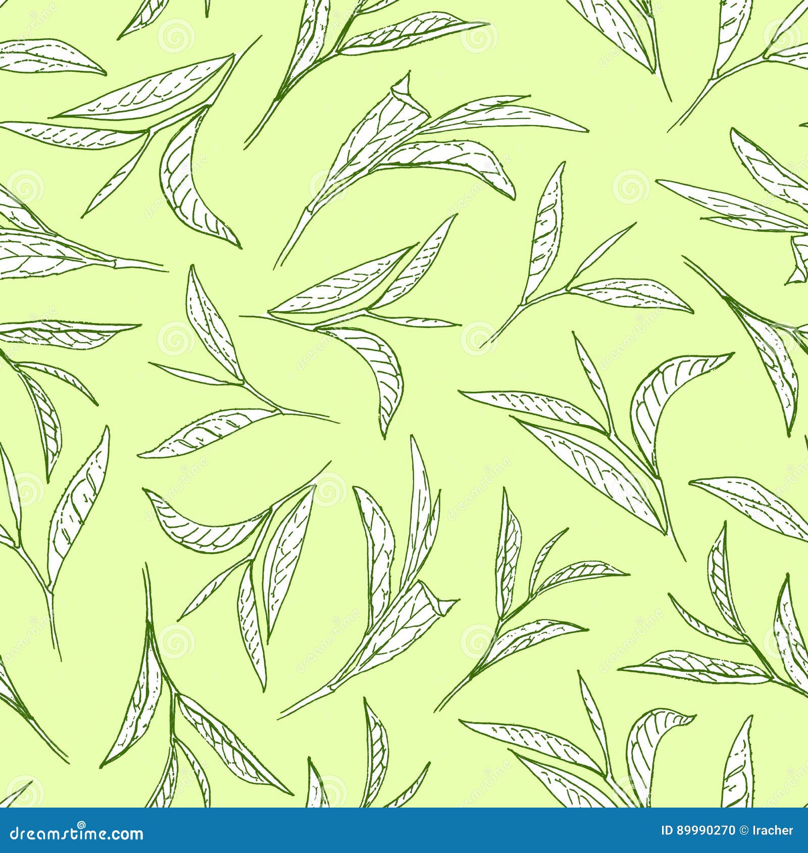 Tea Tree Leaves on Light Green Background. Botanical Style Seamless ...