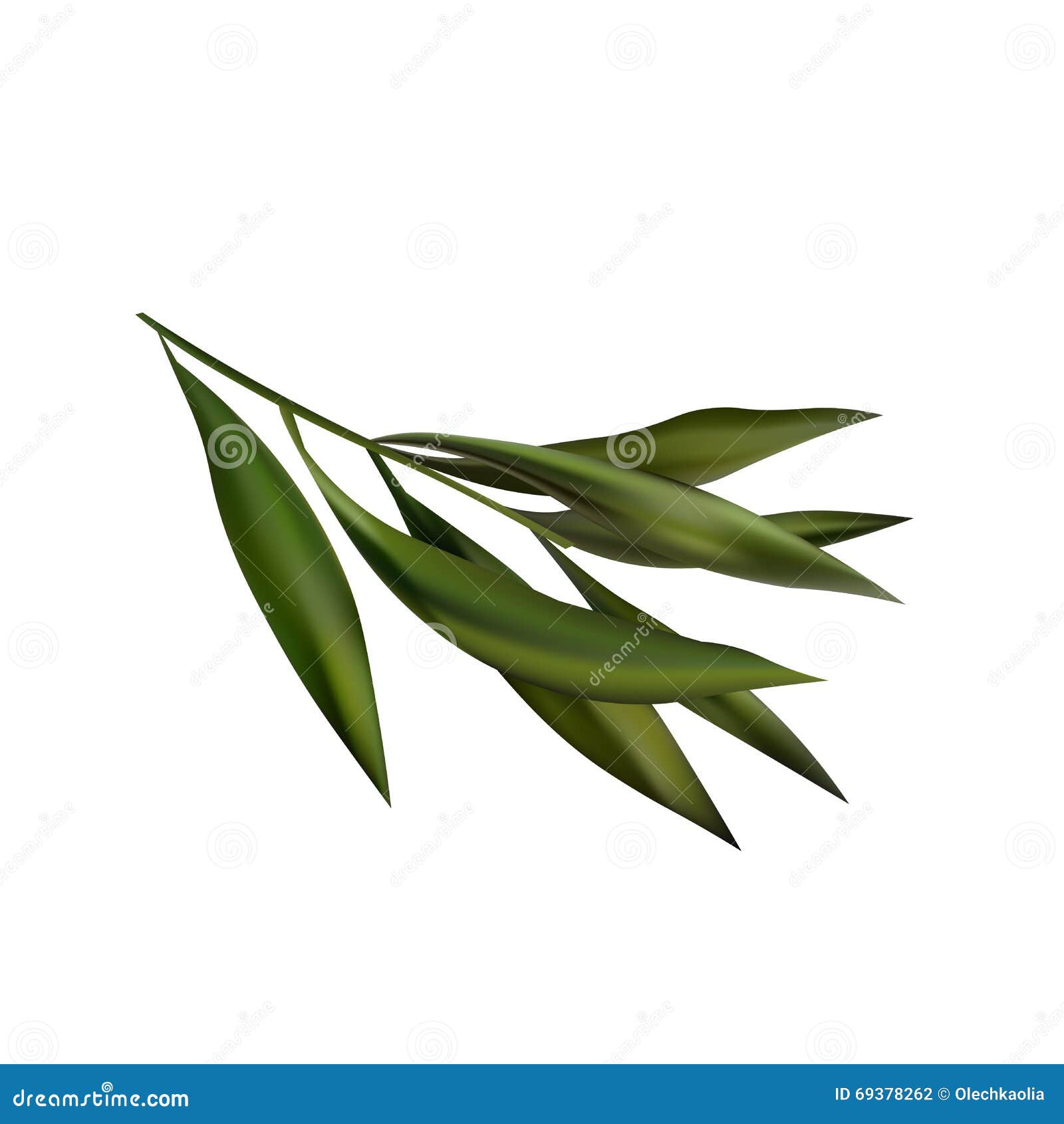 Tea Tree Realistic Branch Icon. Object Isolated on White Background ...