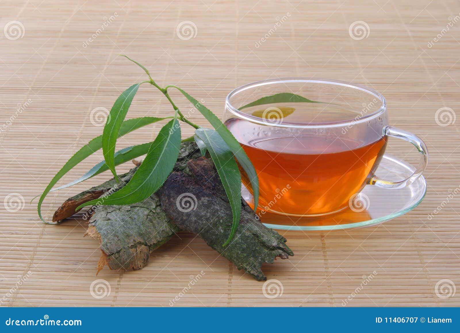 Tea willow stock image. Image of bush, infusion, teaglass - 11406707