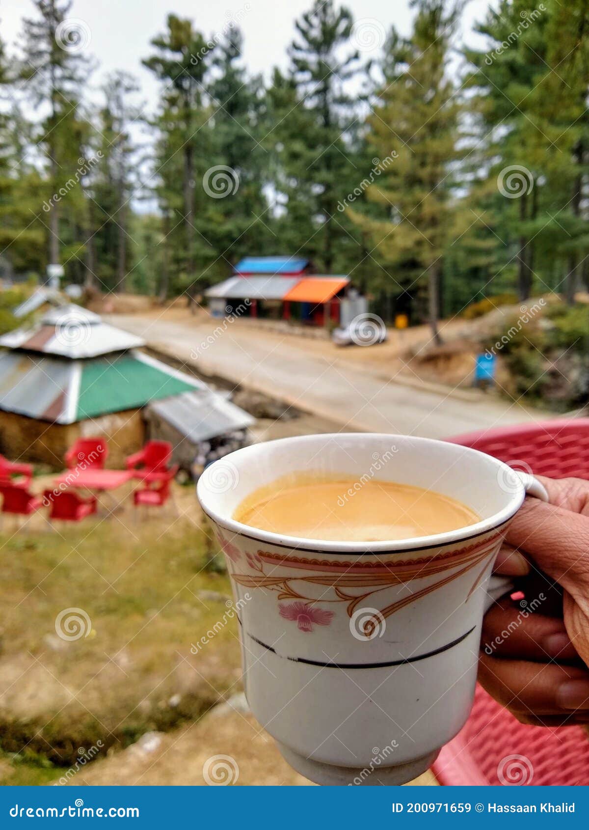 Tea in the woods stock image. Image of nature, forest - 200971659