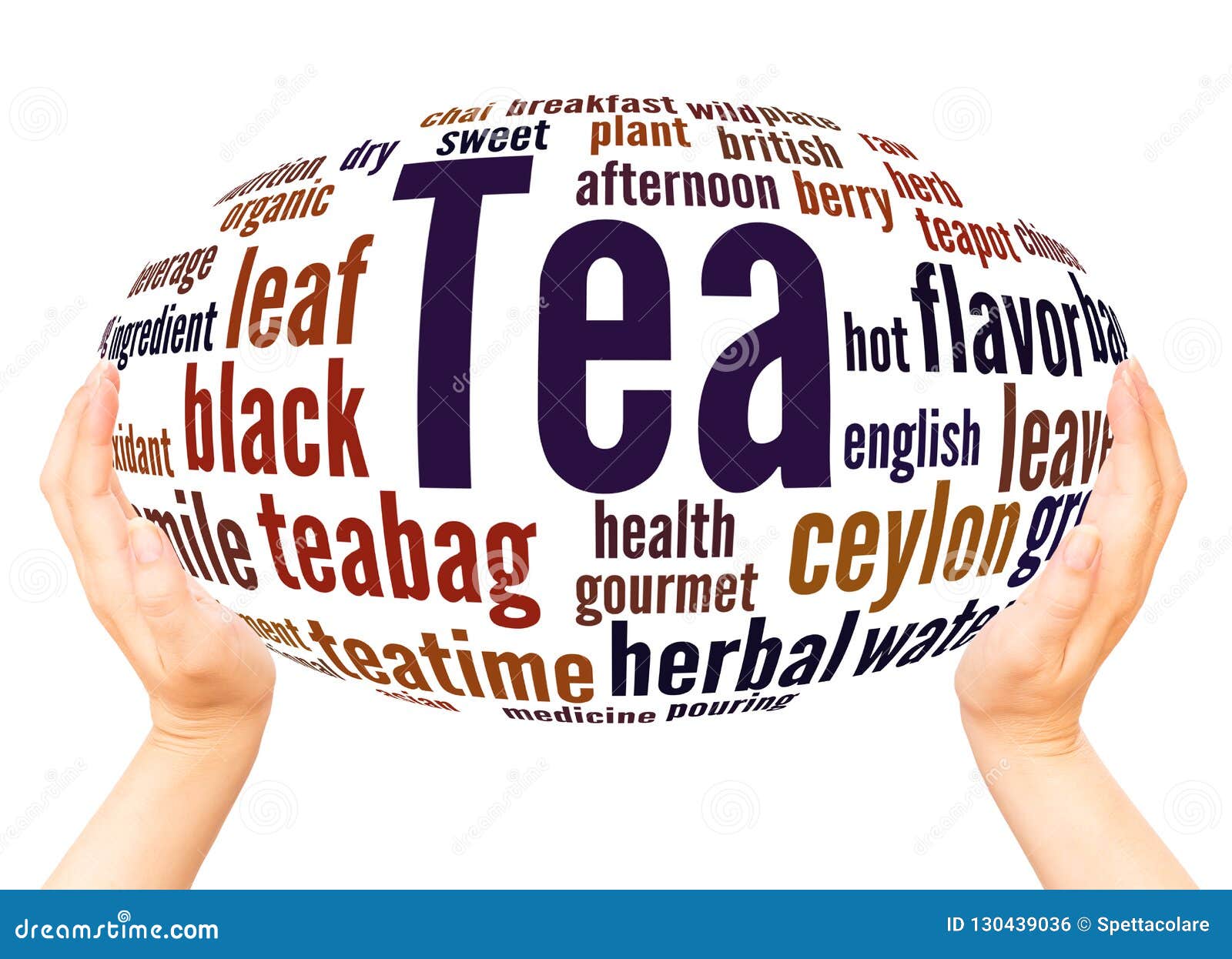 Tea Word Cloud Hand Sphere Concept Stock Illustration - Illustration of ...