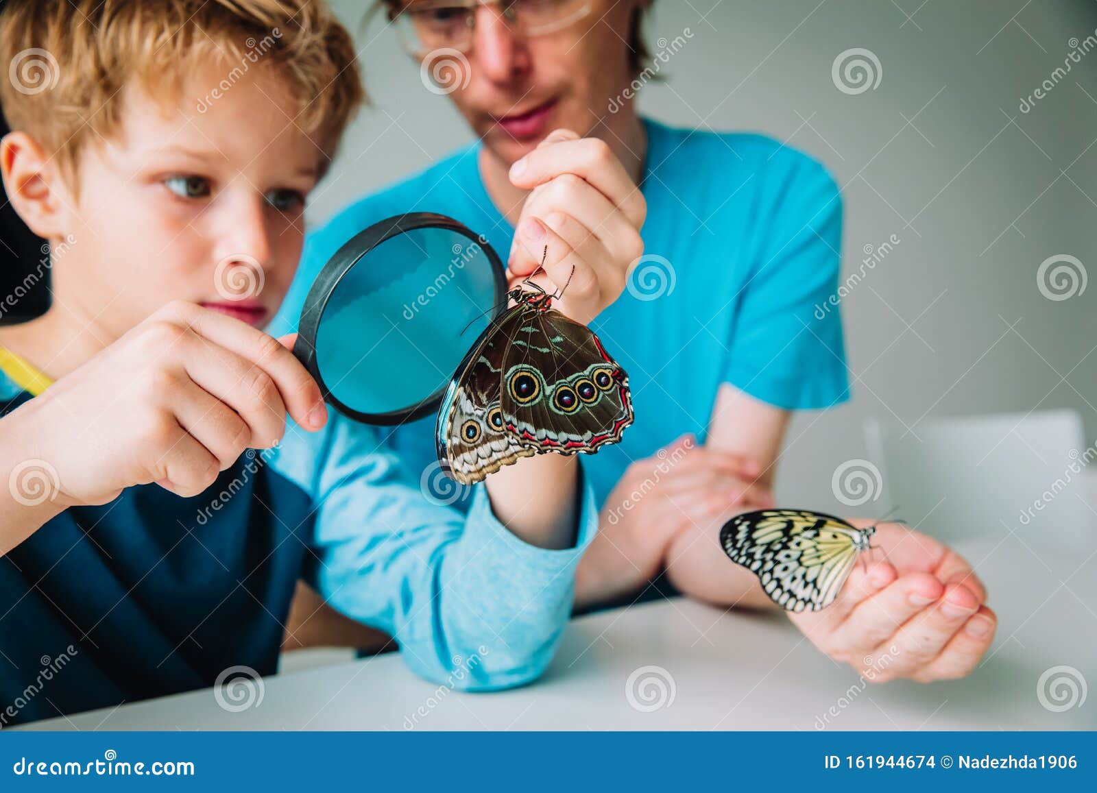 Teacher and Child Study Batterflies, Doing Rearch Project Stock Photo ...