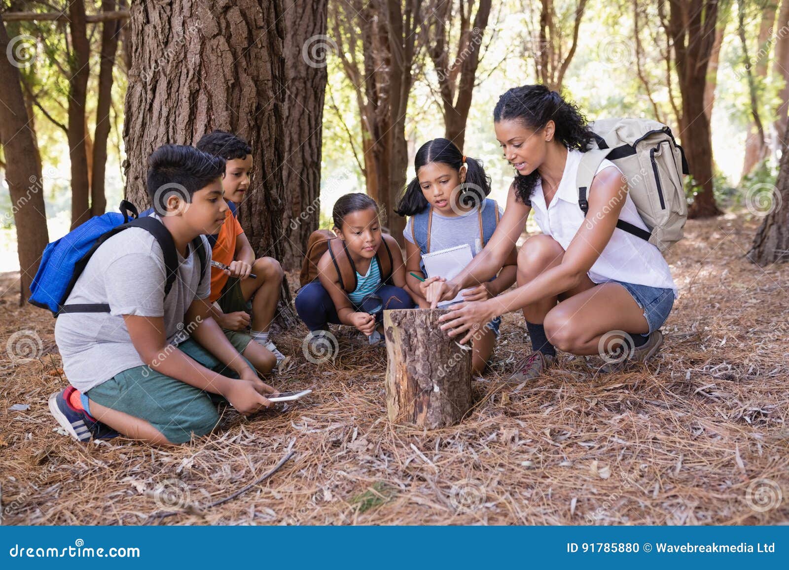 Teacher and Children Examing Tree Stump in Forest Stock Photo - Image ...