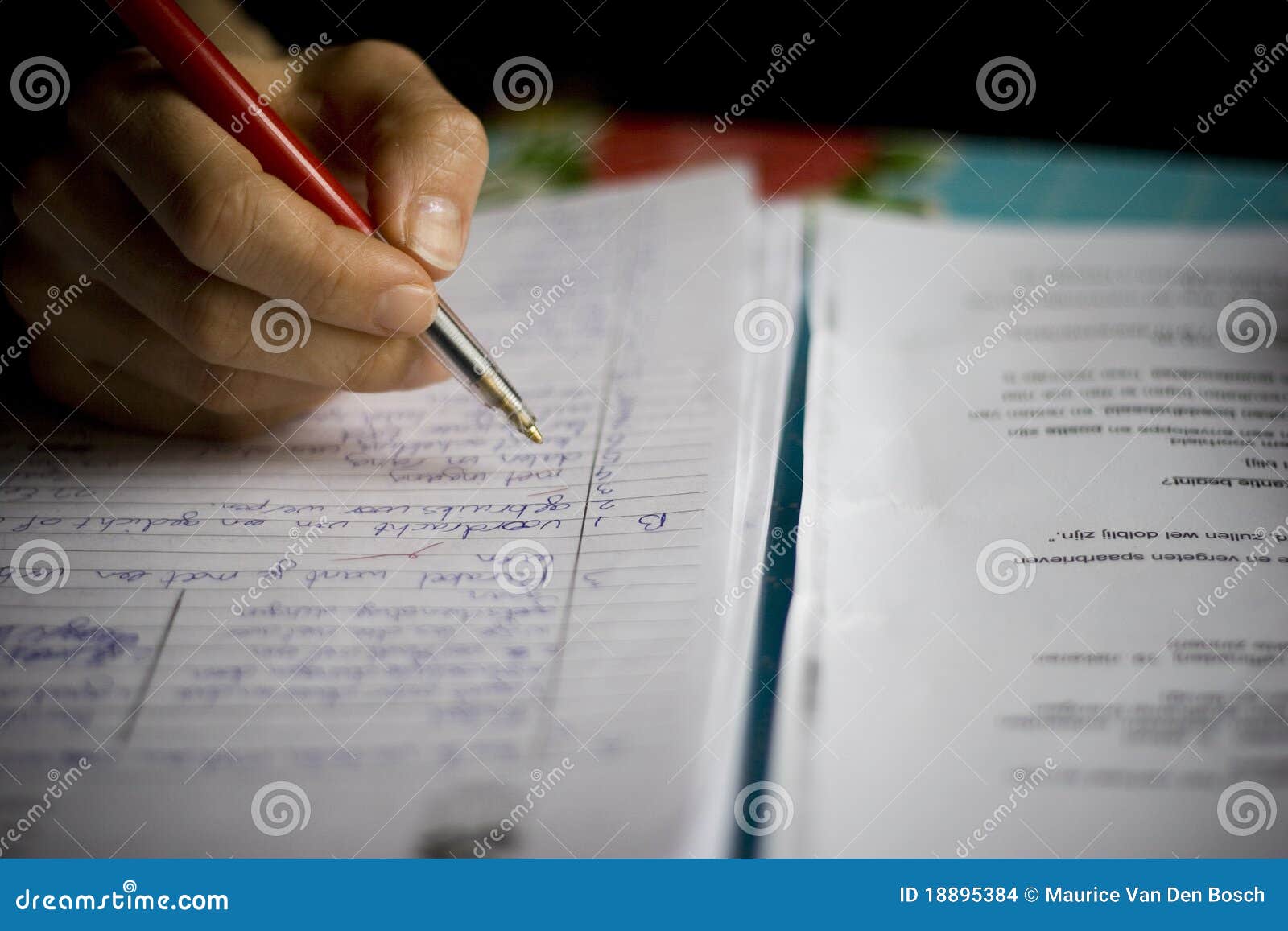 Teacher correcting stock photo. Image of school, correcting - 18895384