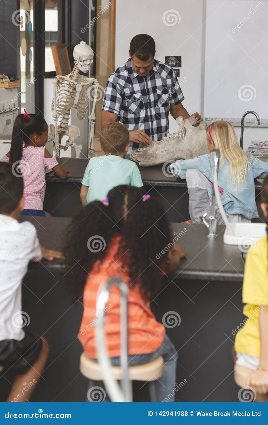 Teacher Explaining at His Pupils about Human Skeleton in Classroom ...