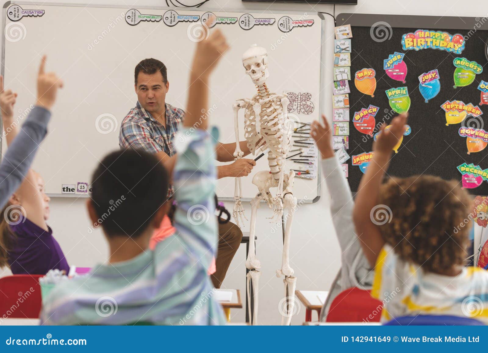 Teacher Explaining about Human Skeleton in Classroom Stock Image ...