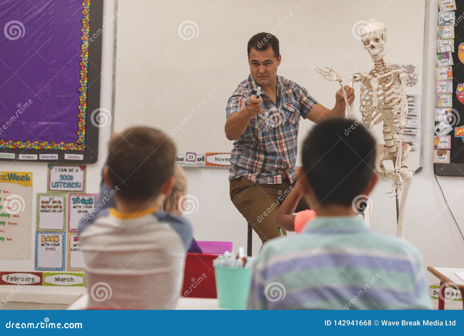 Teacher Explaining about Human Skeleton in Classroom Stock Photo ...
