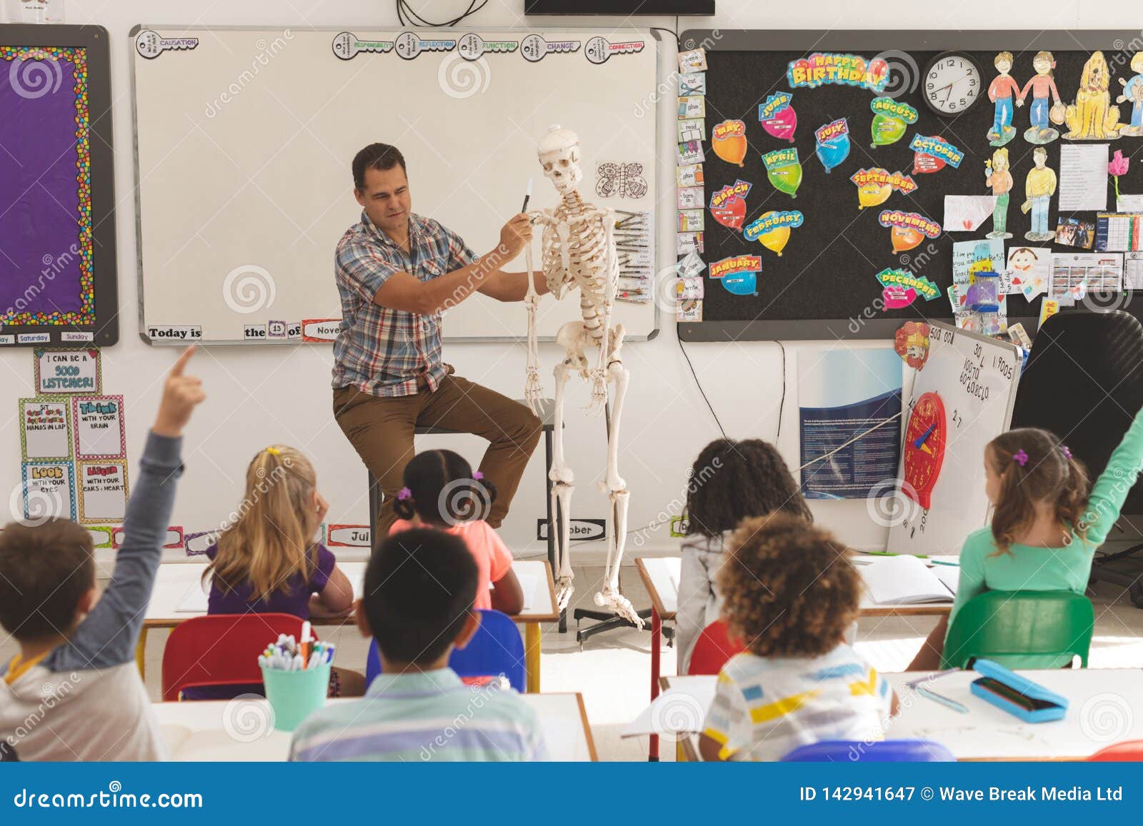 Teacher Explaining about Human Skeleton in Classroom at School Stock ...