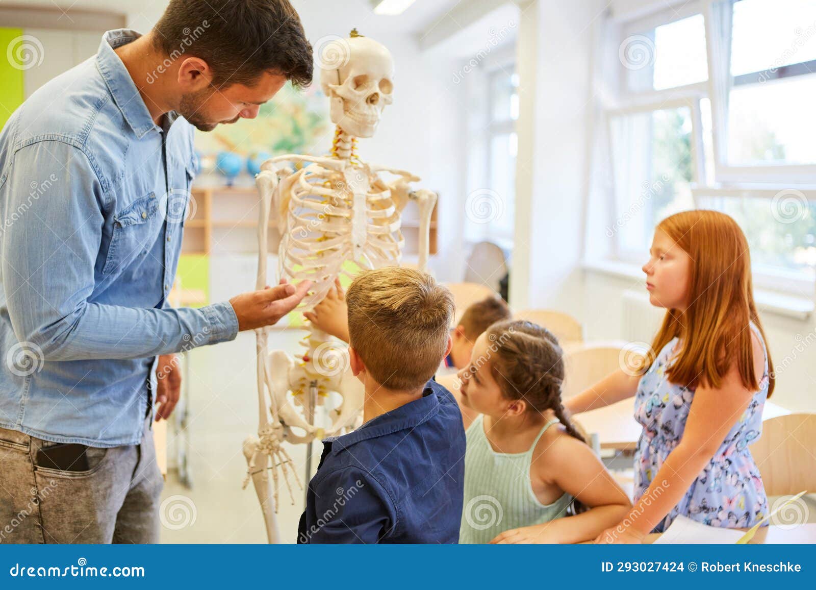 Teacher Explaining Human Skeleton To Students in Classroom Stock Photo ...