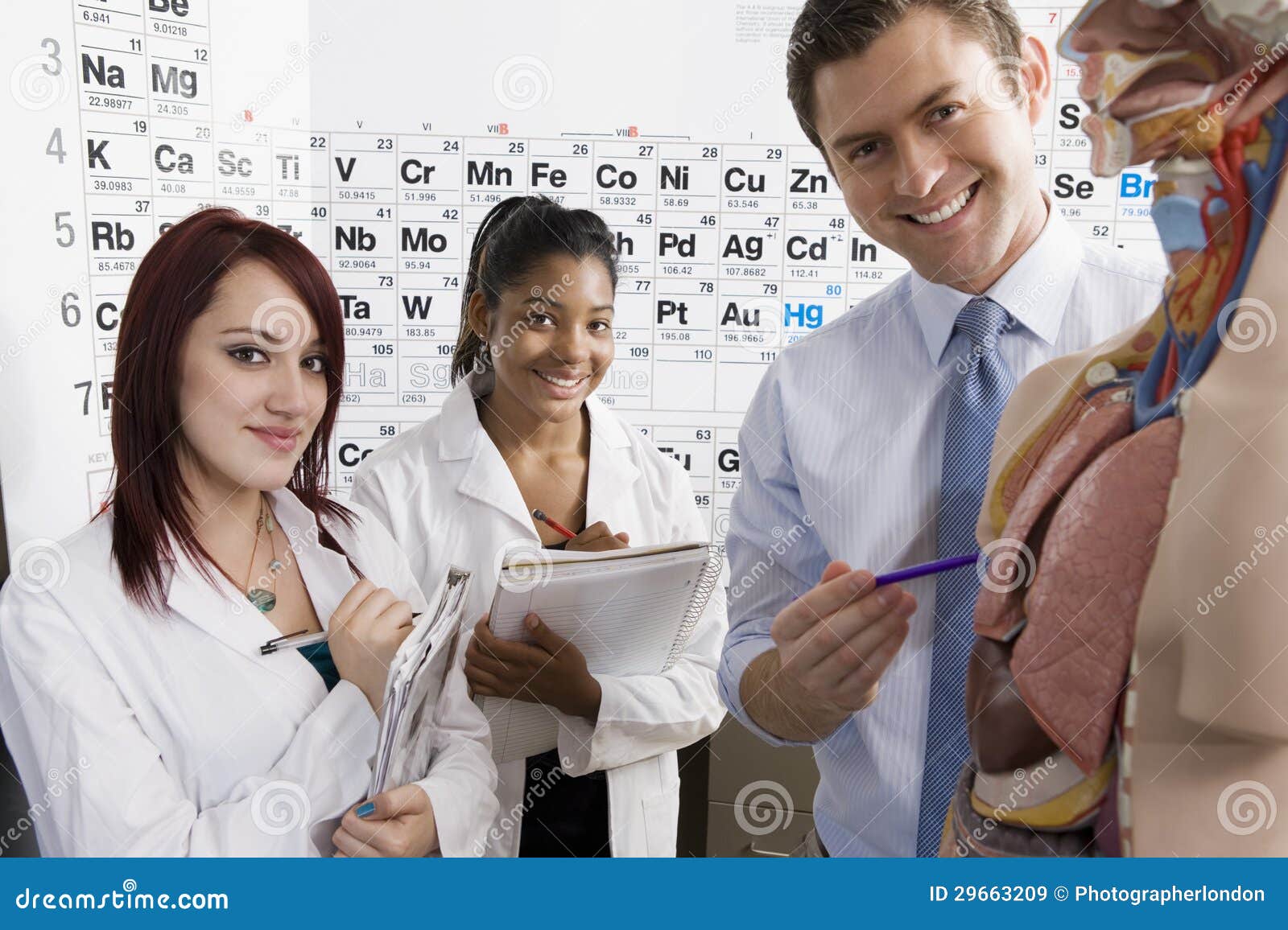 Teacher Giving Lessons on Human Anatomy Stock Image - Image of ...