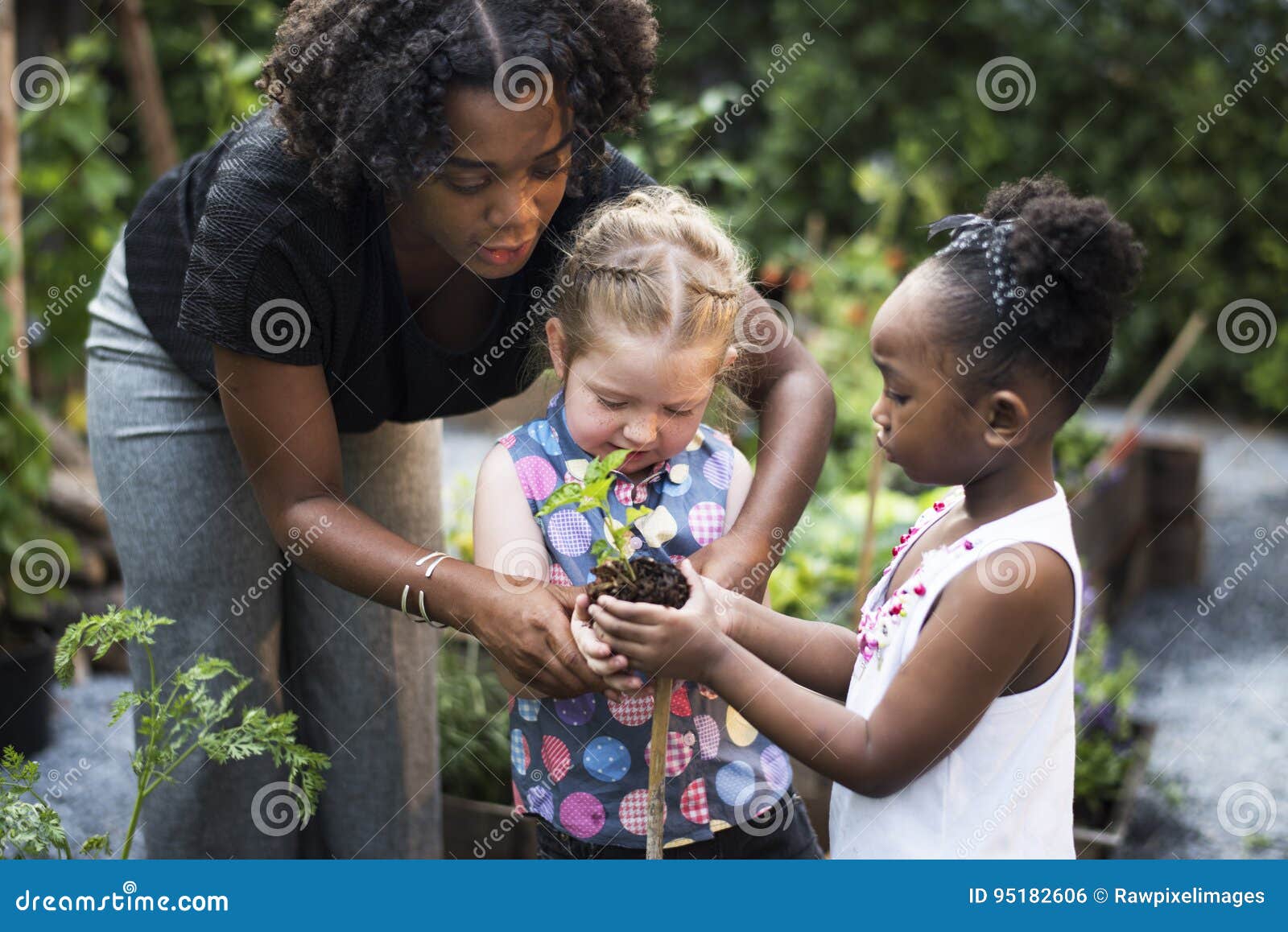 Teacher and Kids School Learning Ecology Gardening Stock Photo - Image ...